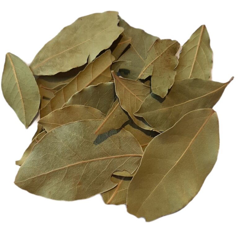 Acheter en ligne: Laurier (feuille) - Laurus nobilisRistourne à partir ...